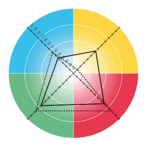 Mit einem HBDI®-Profil Mitarbeiter richtig einschätzen und einsetzen ...